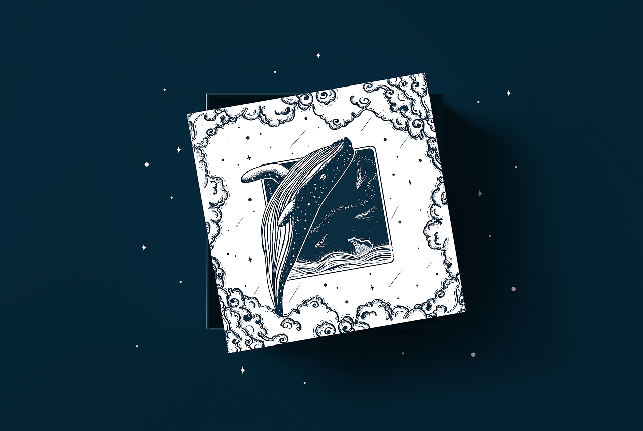 DR MARS礼盒包装_猫绯_biuuuu-站酷ZCOOL