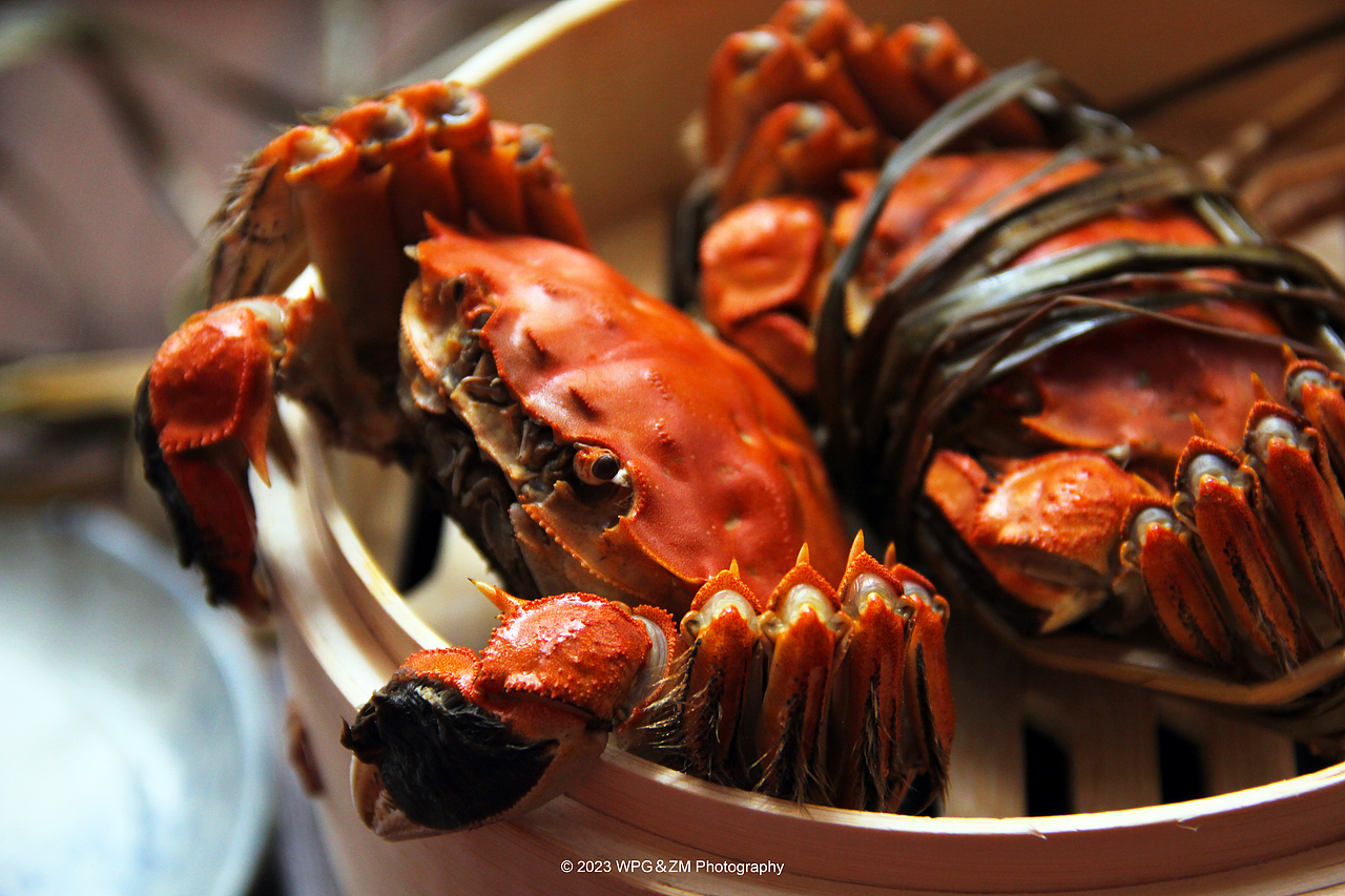 秋风起 》_王珮光-站酷ZCOOL