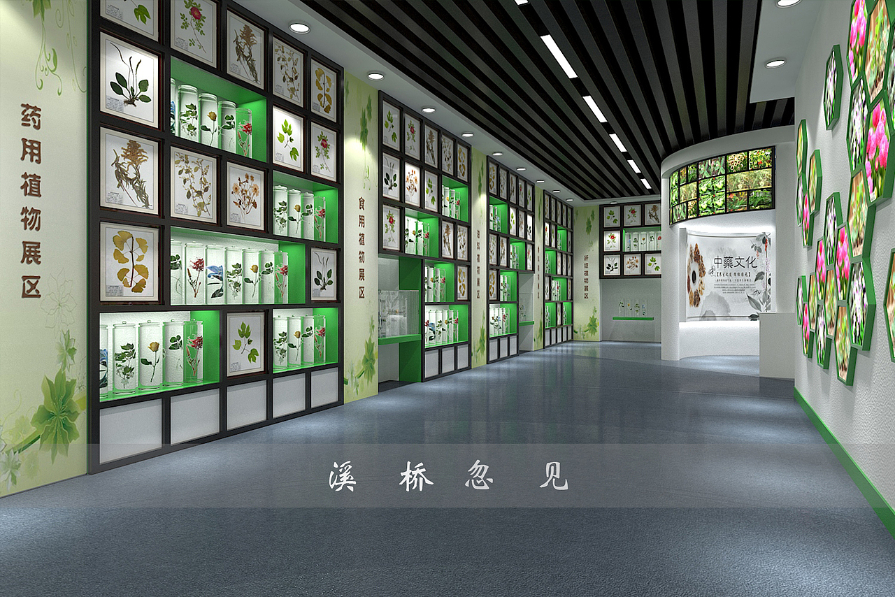 湖南农大植物标本馆效果图及现场图（已落地）_溪桥忽见-站酷ZCOOL
