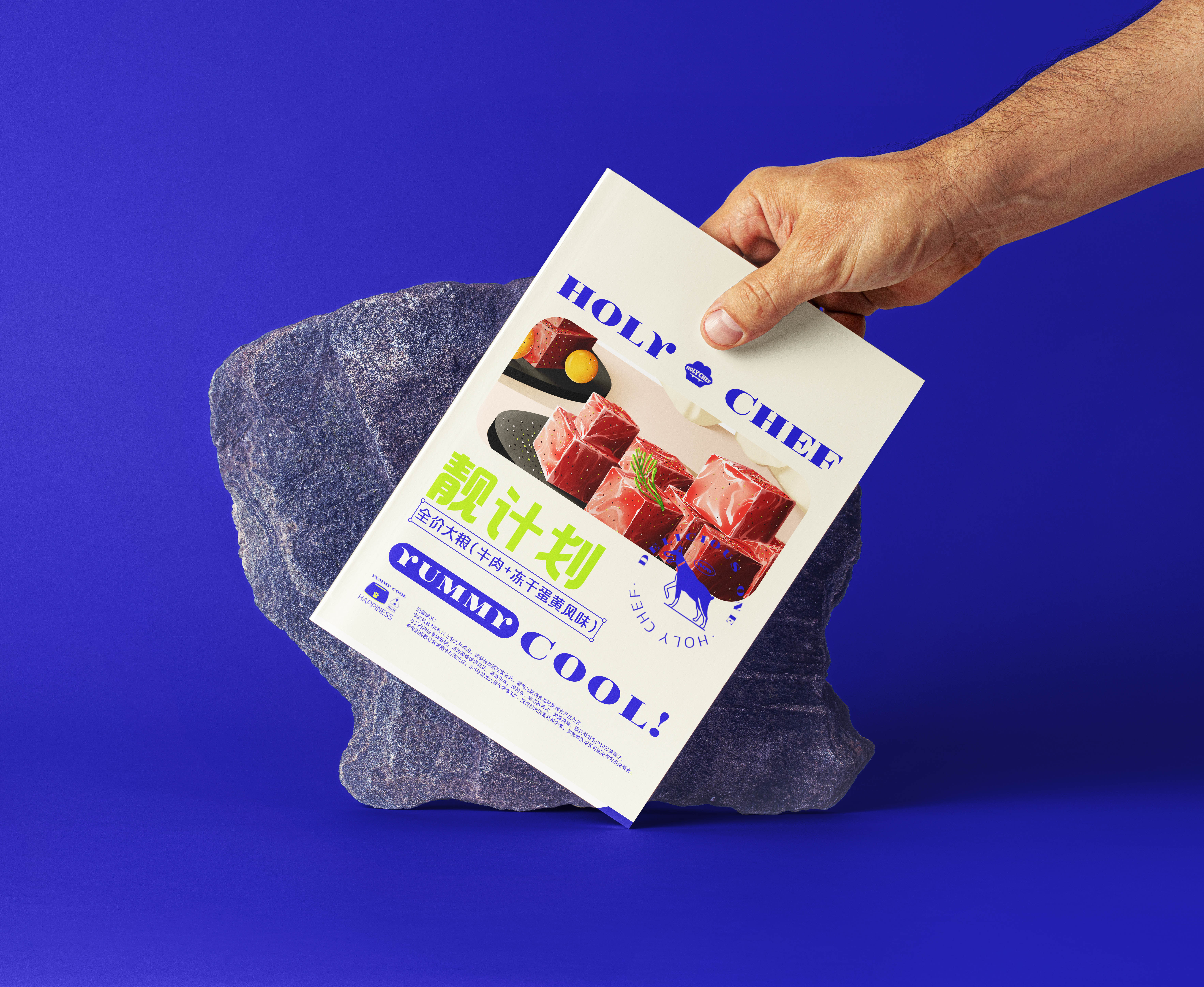 HOLY CHEF 宠物品牌设计&宠物包装设计_五藏者品牌设计-站酷ZCOOL