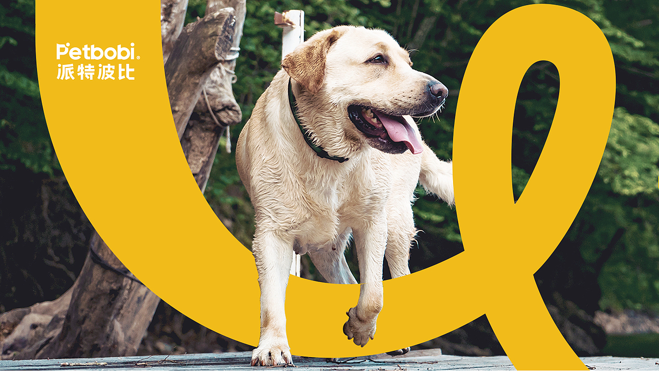 Petbobi 派特波比 | 品牌包装案例_maydesign-站酷ZCOOL