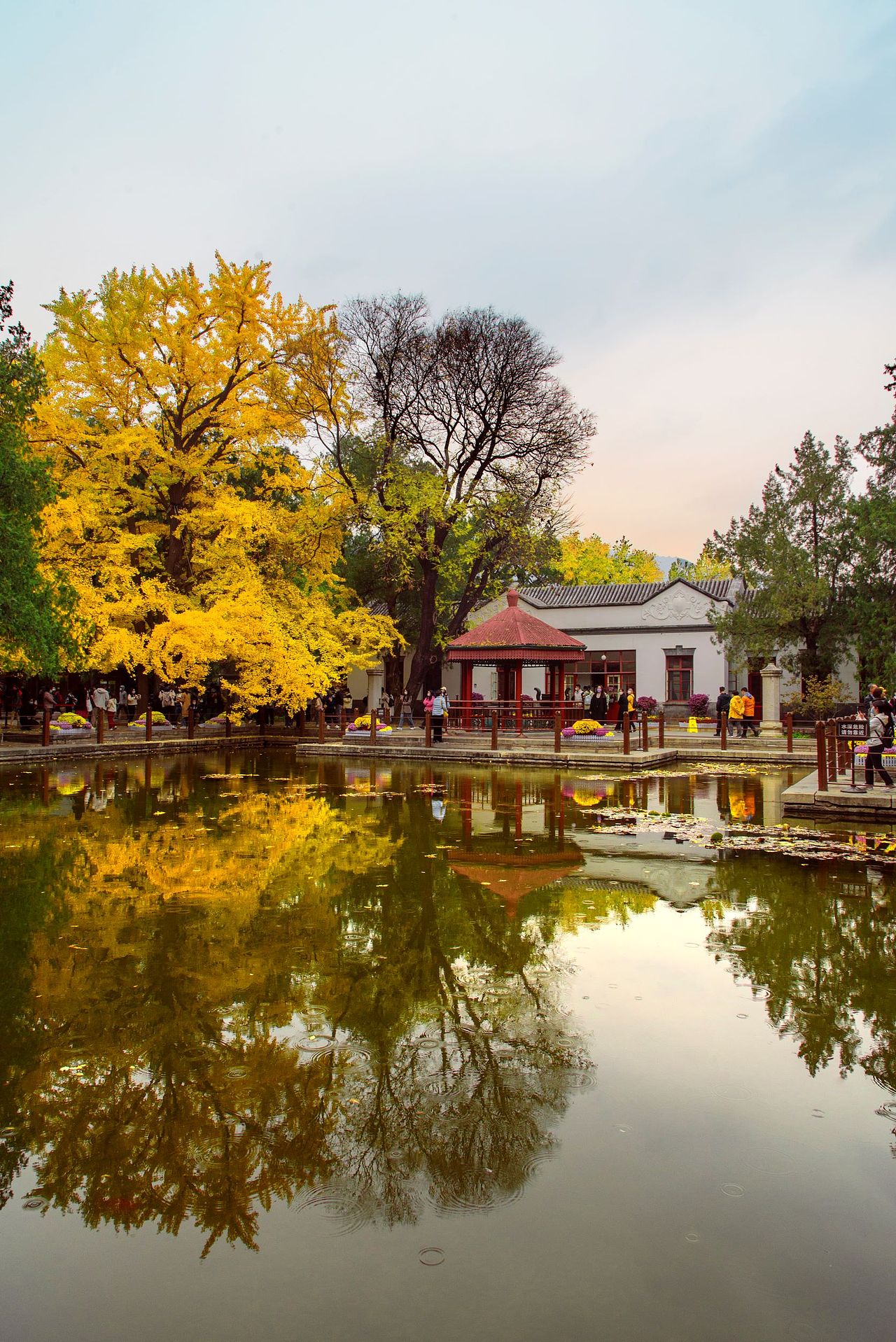 北京香山的秋天_ychsth-站酷ZCOOL