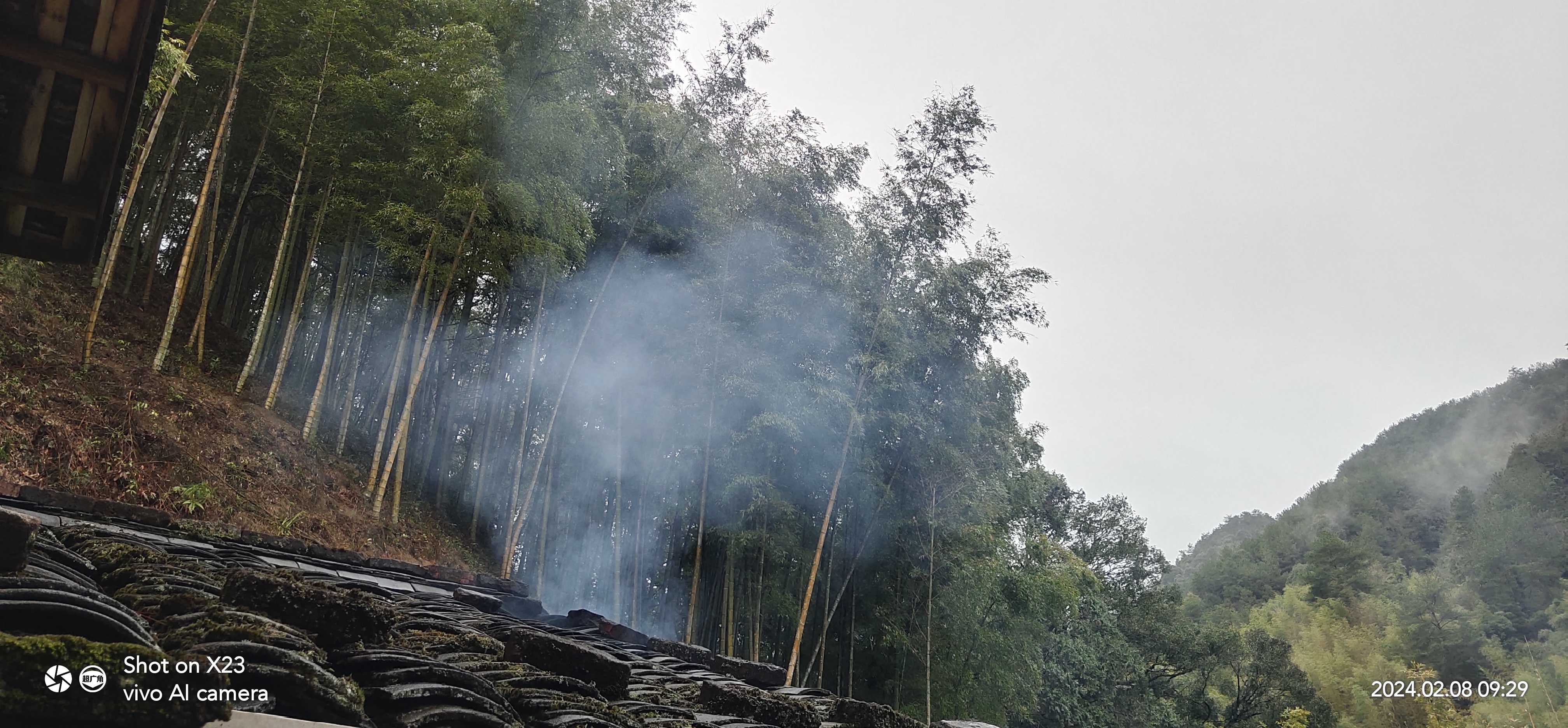 森林人家III-大红灯笼高高挂_ZBin2009-站酷ZCOOL