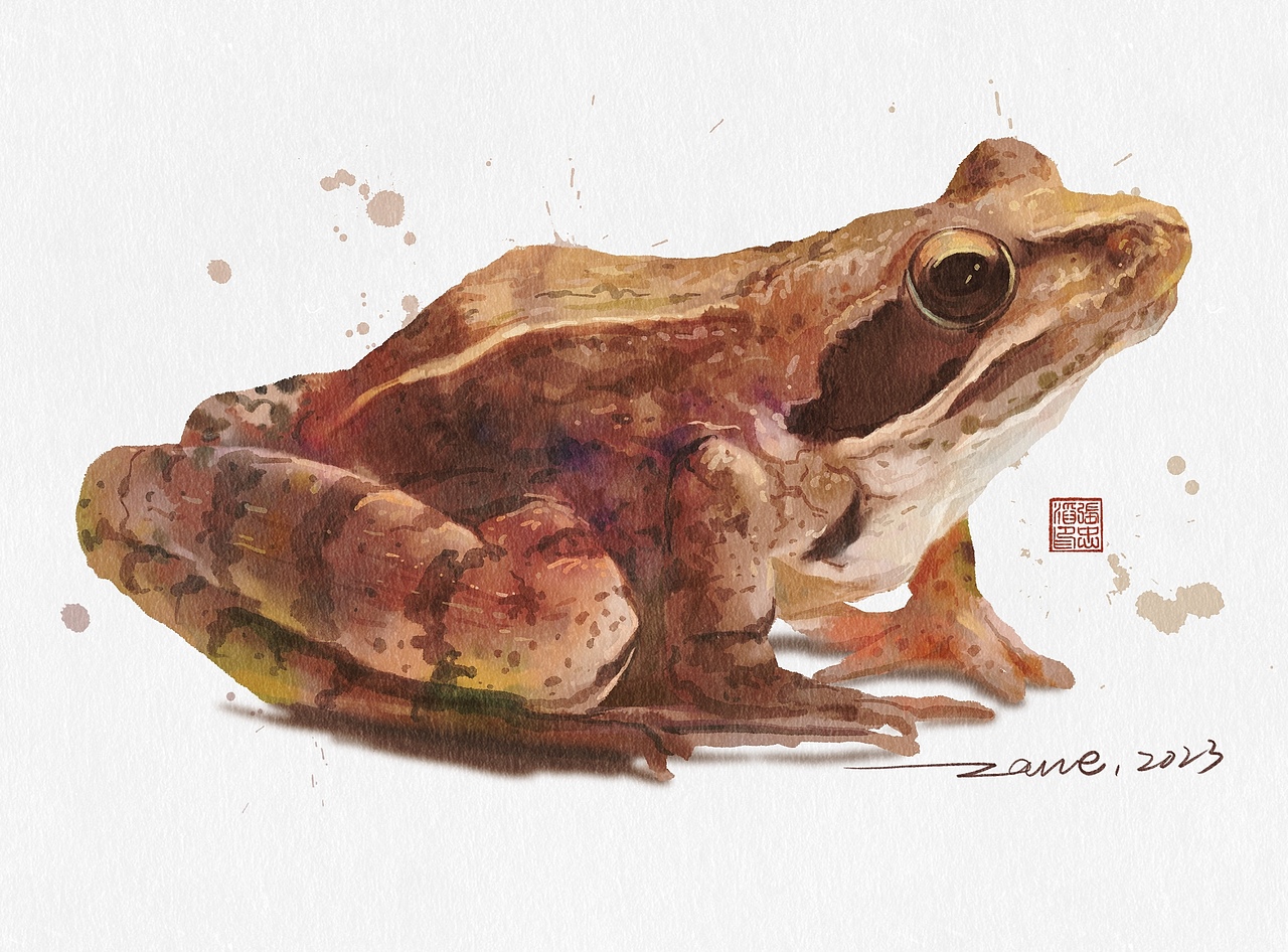 近期部分作品｜飞禽走兽_zane水彩-站酷ZCOOL