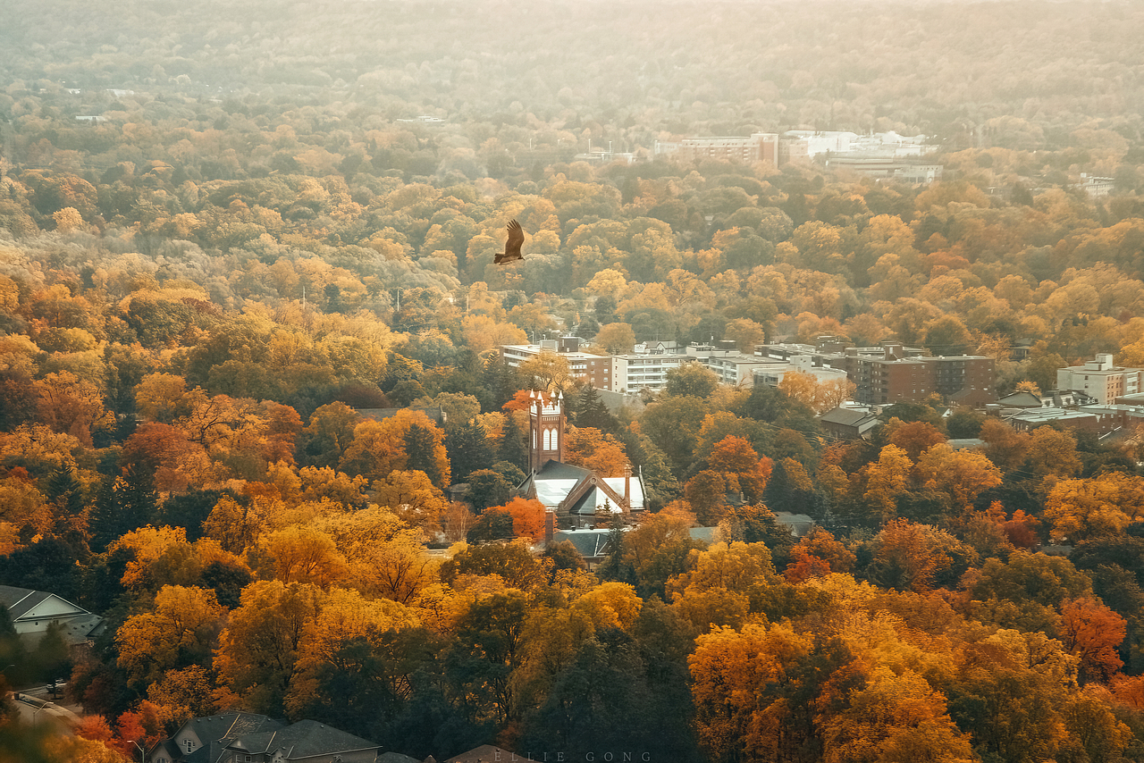 Autumn vibes in Hamilton, Ontario_3lliegong-站酷ZCOOL