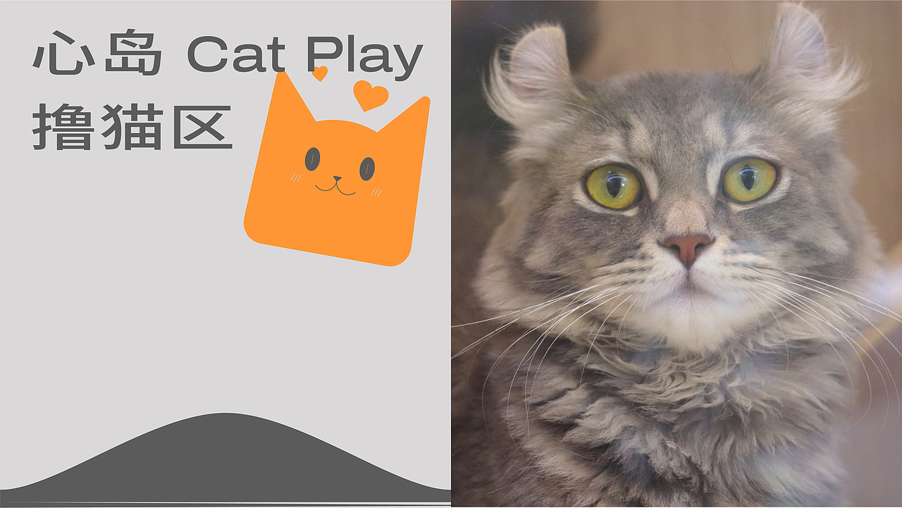 HEART ISLAND — 心岛宠物馆_草莓Eric-站酷ZCOOL