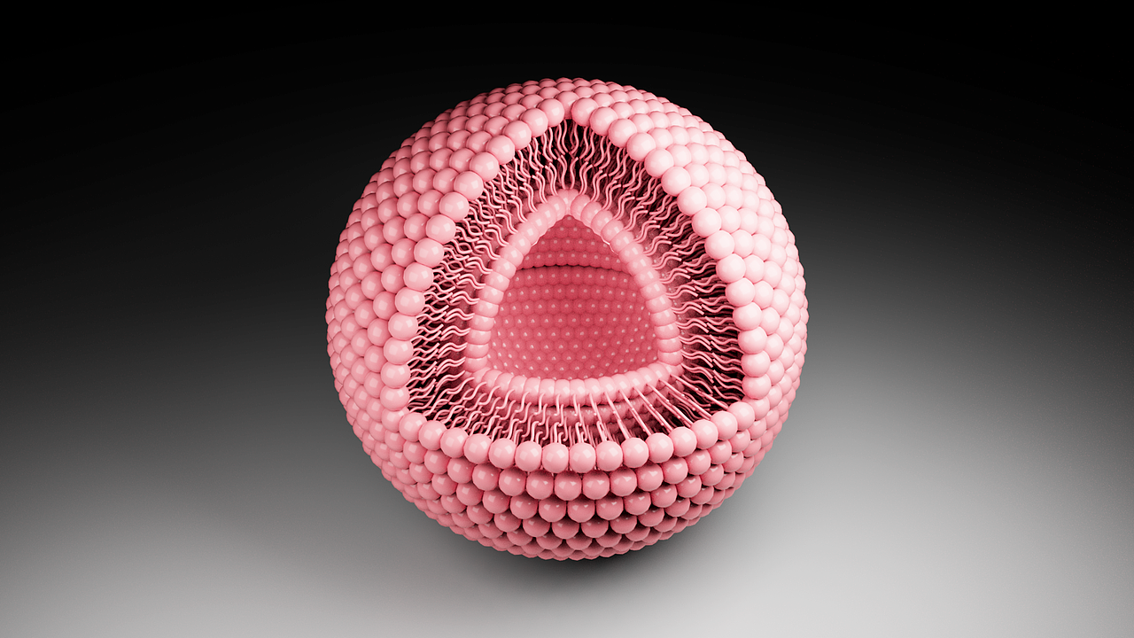 Sci科研制图|如何做磷脂双分子层的1/8缺口细胞膜_科学颜习社-站酷ZCOOL