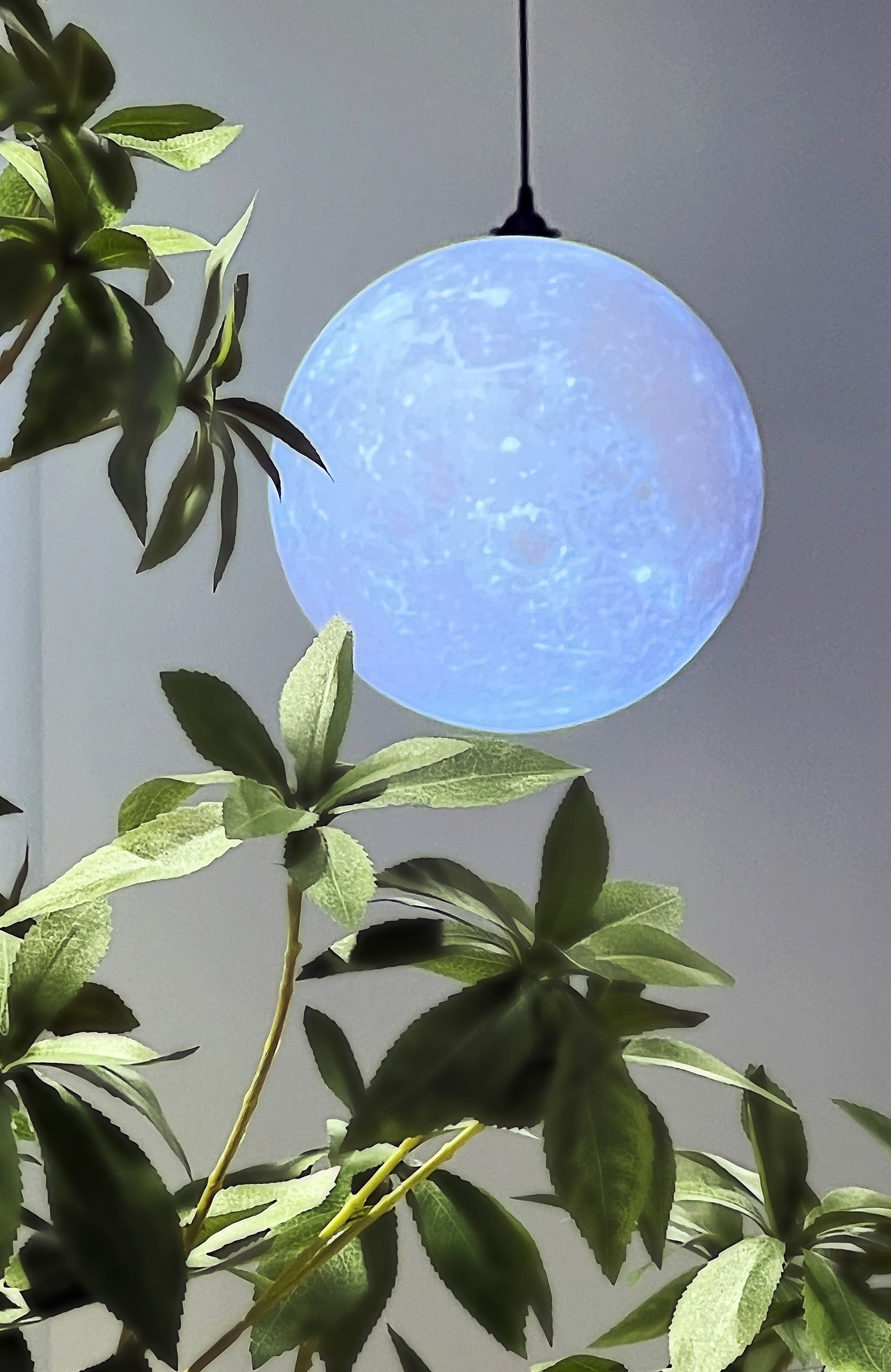 MF进口涂料展厅_展厅资源联盟-站酷ZCOOL