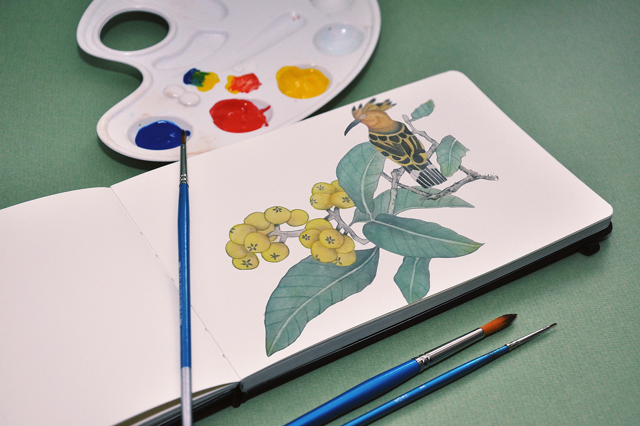 偶尔 手绘_白萝卜熬的粥-站酷ZCOOL