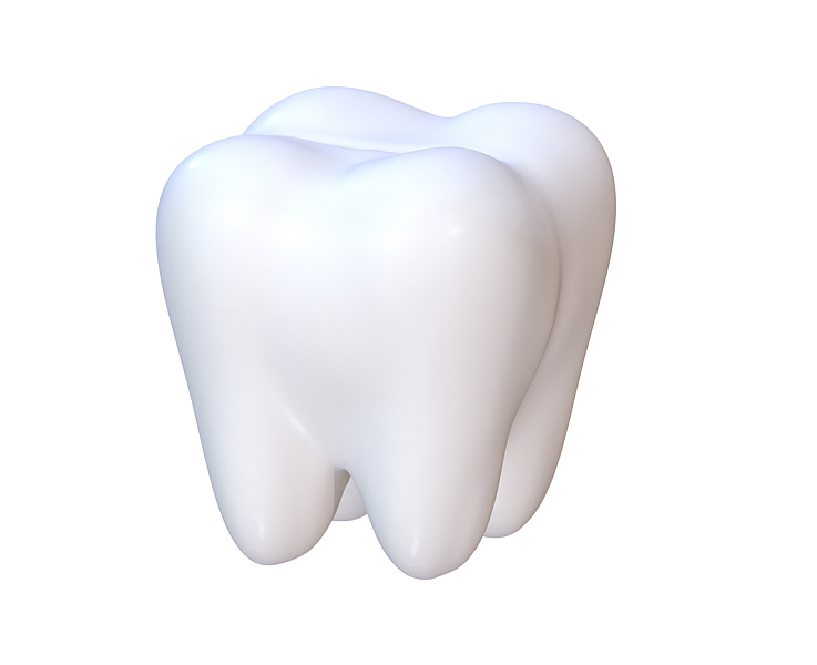 三维牙齿医疗_Anniebugu-站酷ZCOOL