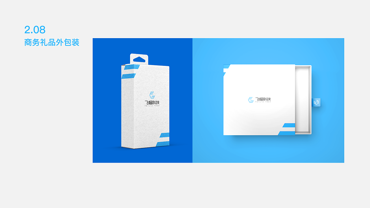 飞榴科技logo品牌规范_王浩2333-站酷ZCOOL