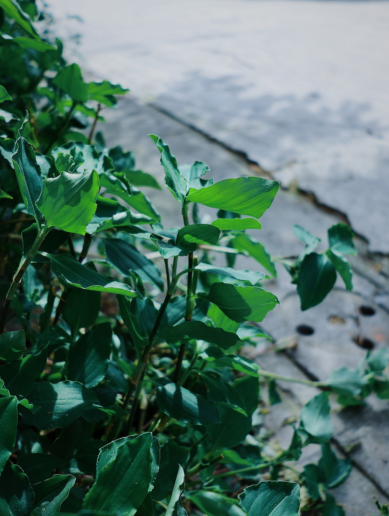 街头摄影_不知名的王某人-站酷ZCOOL