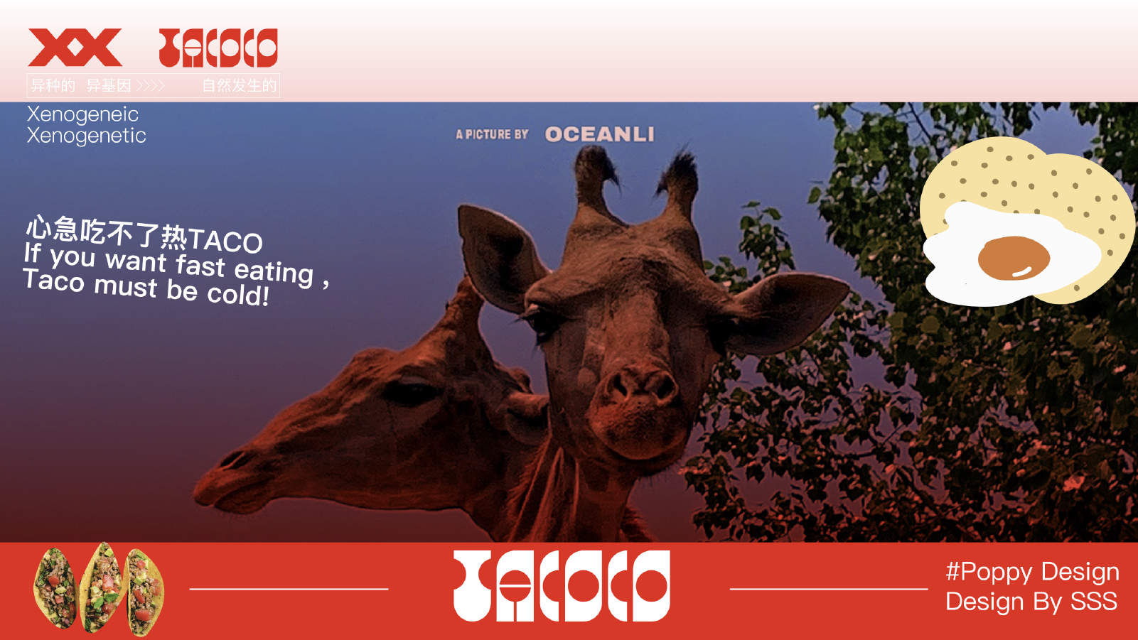 2023作品集_孙孙Kate-站酷ZCOOL