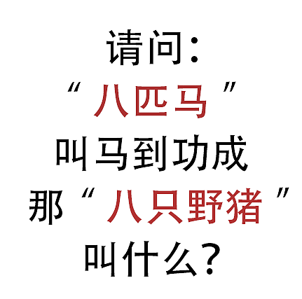 DAY1 | 插画 | 八只野猪_黄小肚-站酷ZCOOL