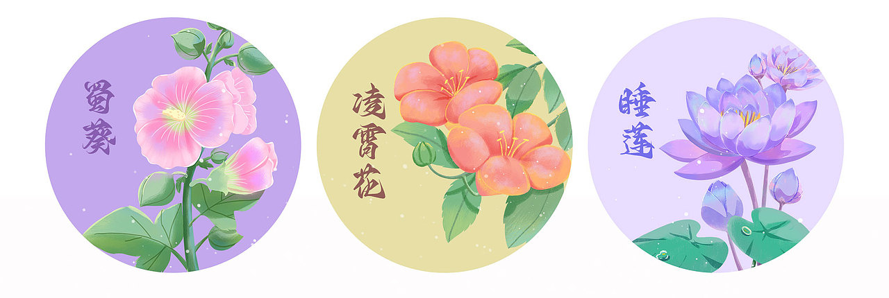 Dily与二十四节气花邂逅_莫莫n_n-站酷ZCOOL