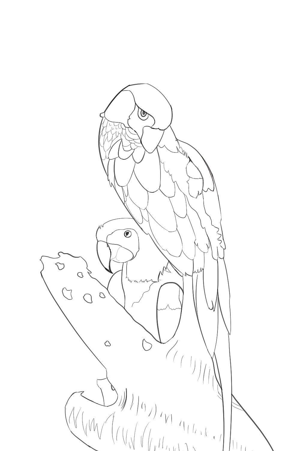 质感练习Day9-动物_爆炸煎蛋-站酷ZCOOL