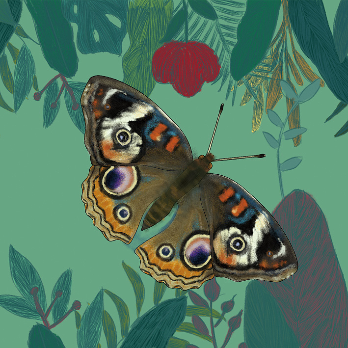 我眼里的美丽世界_June俊俊-站酷ZCOOL