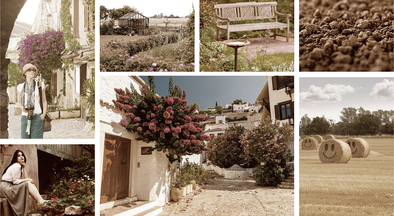 花寂 Florasophy_腾思设计-站酷ZCOOL