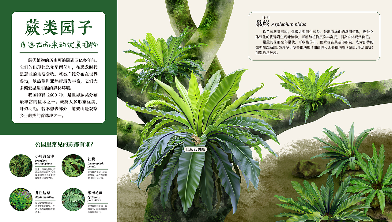 深圳笔架山公园自然教育径--解说牌_进退设计-站酷ZCOOL