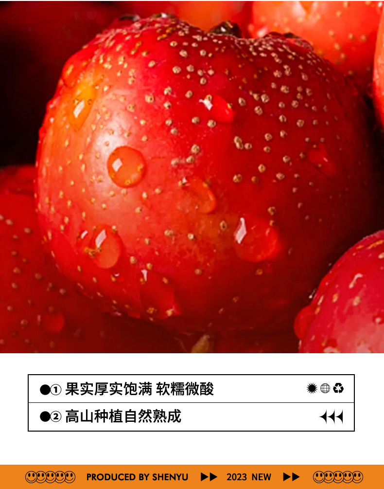 包装 包装设计 珅玉果酒系列山楂酒 露酒 品牌VI设计_晓楠Yana-站酷ZCOOL