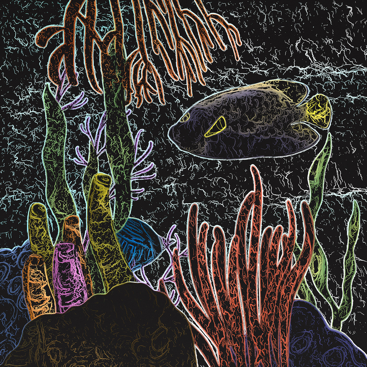 海洋生物纹理感插画系列图_沐下树-站酷ZCOOL