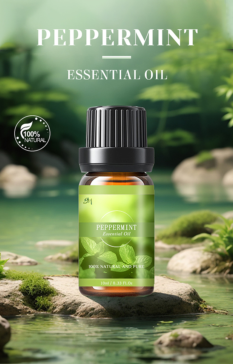 sd-1_随随x-站酷ZCOOL