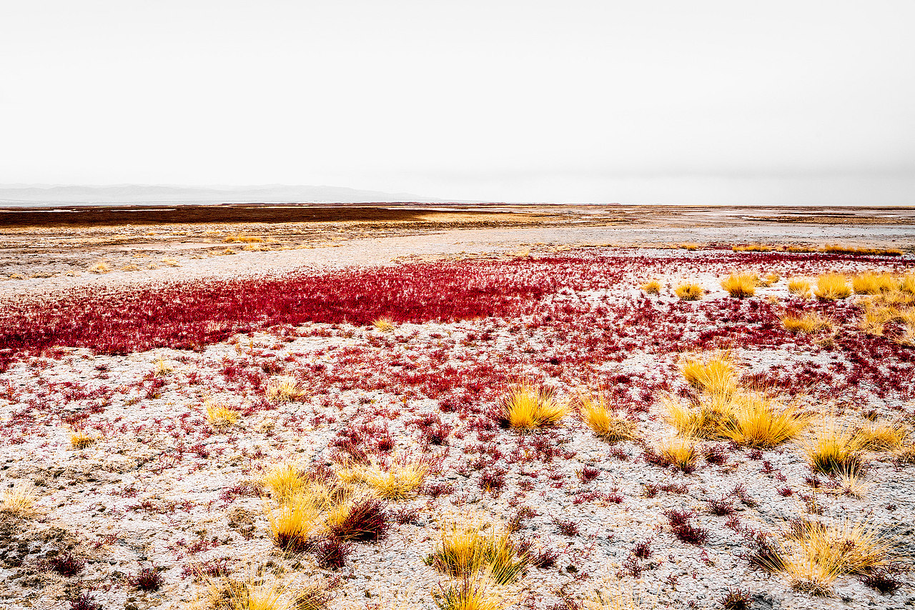 青海_Rainlook-站酷ZCOOL