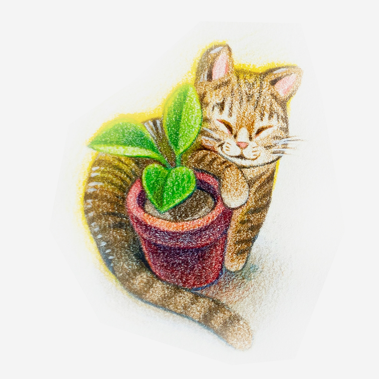 向往的生活_小清SJQing-站酷ZCOOL