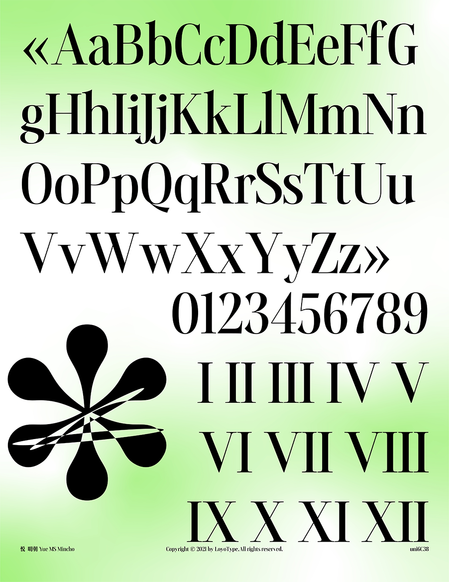 loyotype：有字的地方就有价值_站酷专访-站酷ZCOOL