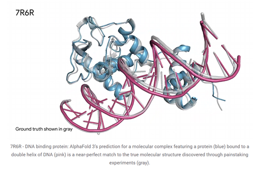 谷歌重磅发布AlphaFold 3，增强人类发现新药方法！_AIGC开放社区-站酷ZCOOL