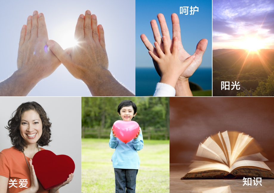 案例分享|北新街小学品牌形象设计_逆转nora-站酷ZCOOL