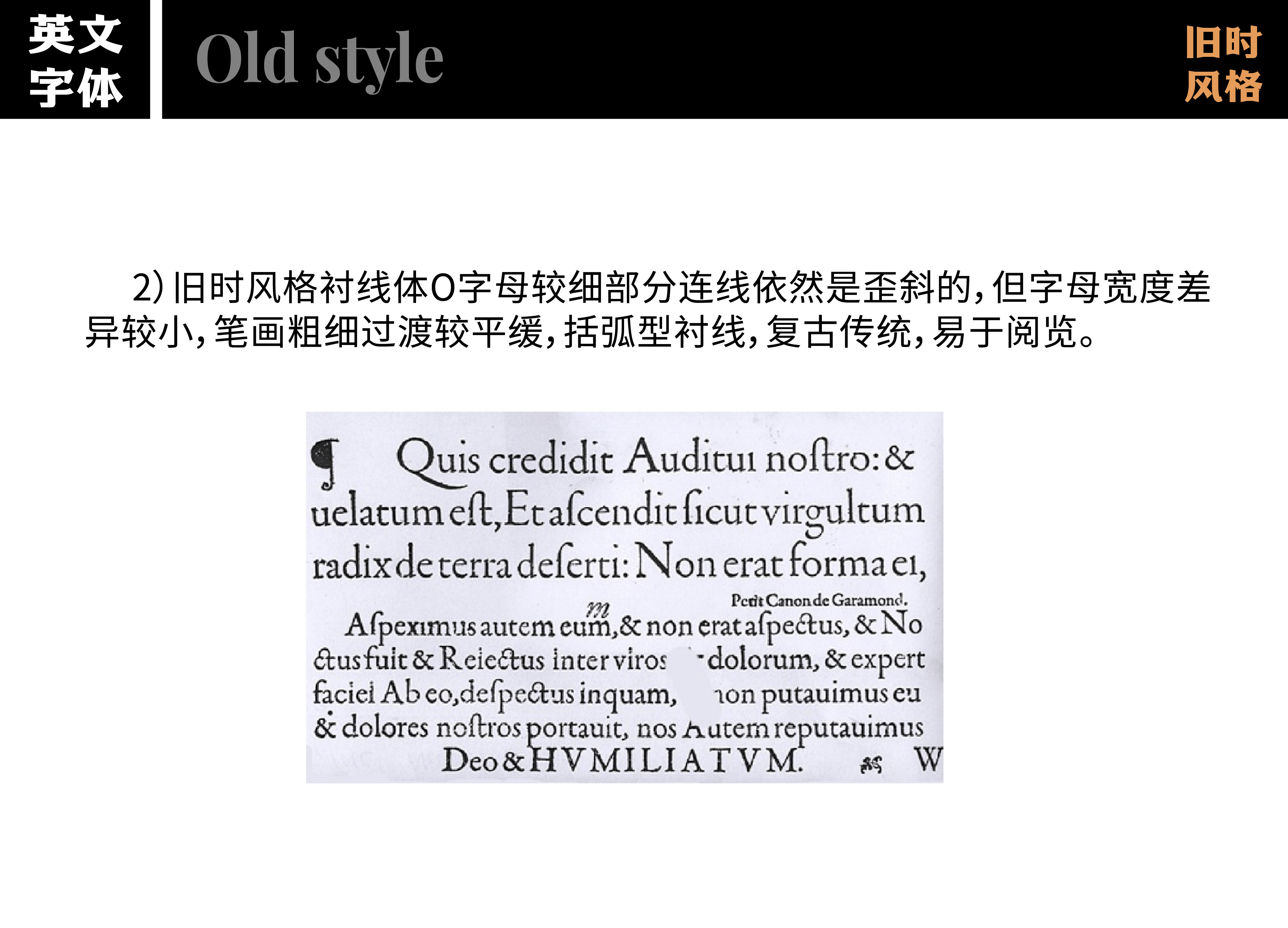 新手设计师—字体类型说明书（英文字体篇）_七音酱-站酷ZCOOL