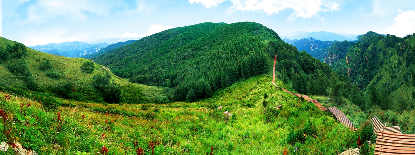 城市品牌形象设计—灵寿_逆转nora-站酷ZCOOL