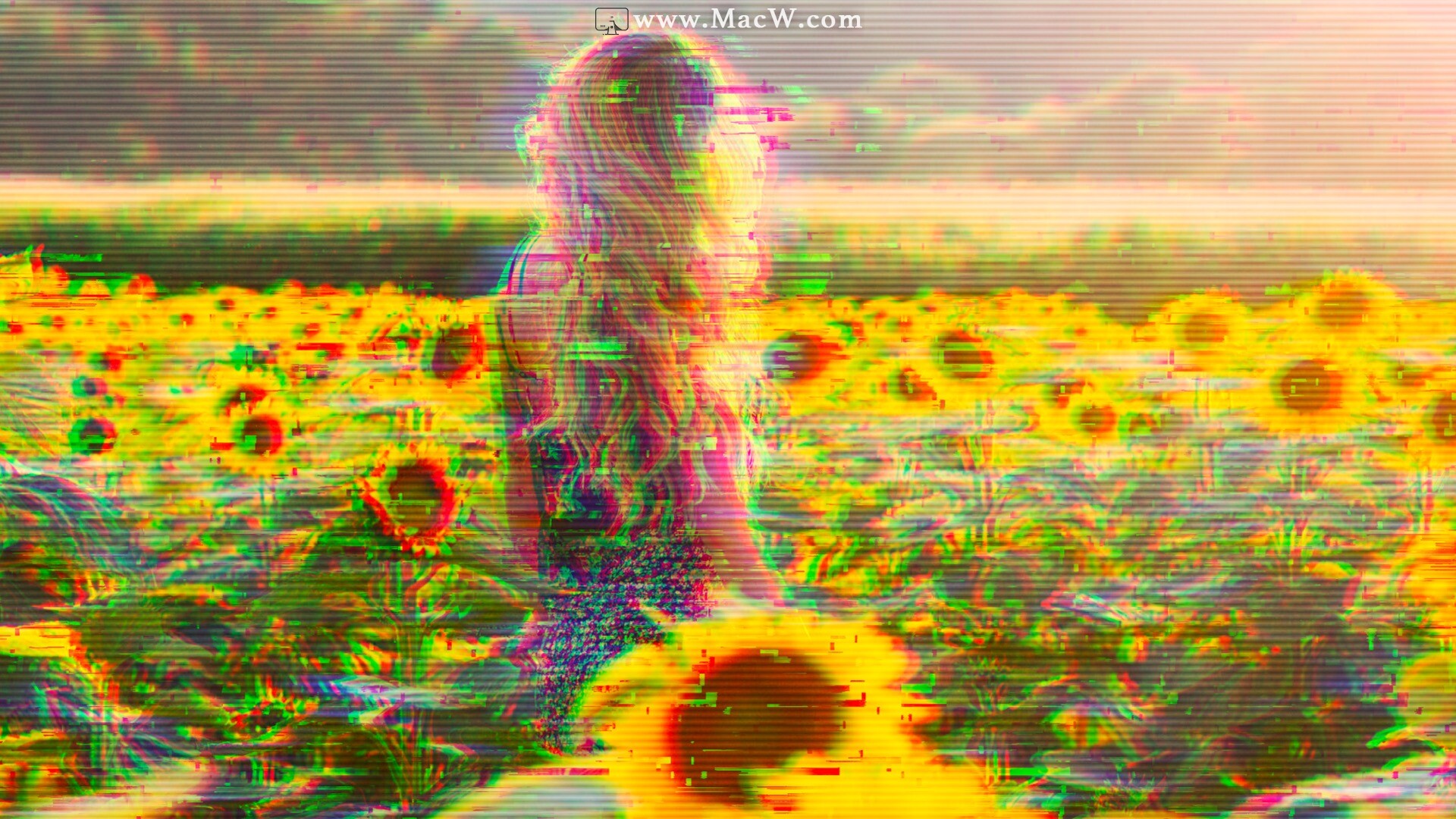 彩色信号故障效果Ps动作_Mac小素材-站酷ZCOOL