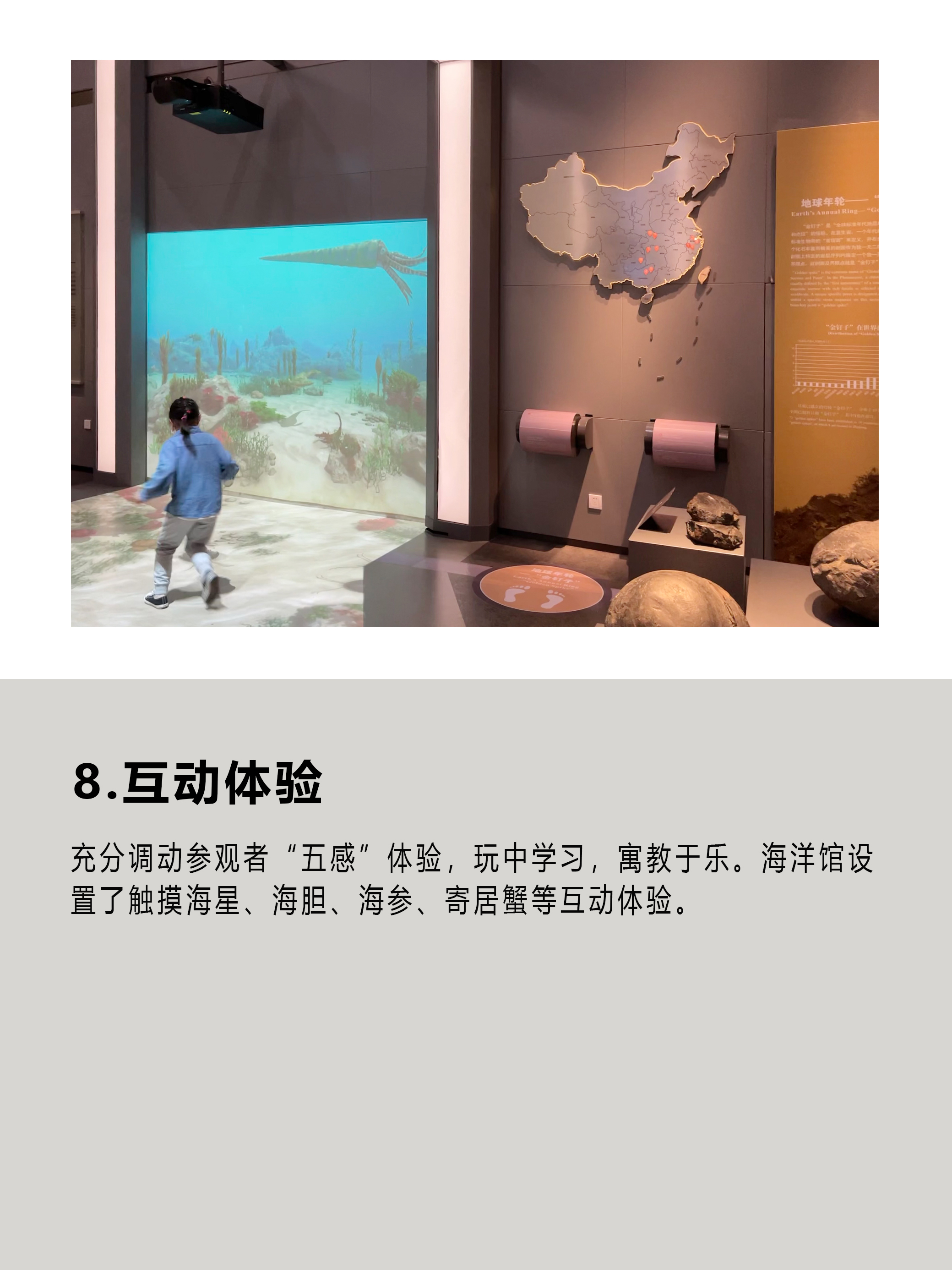 国内顶尖的博物馆好在哪里？一浙江省自然博物馆_展示课堂-站酷ZCOOL