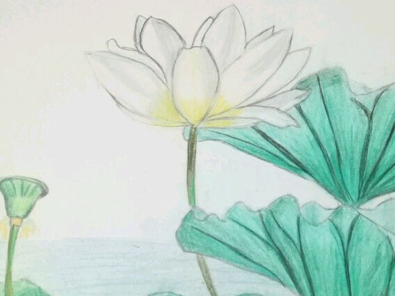 画_anananana-站酷ZCOOL