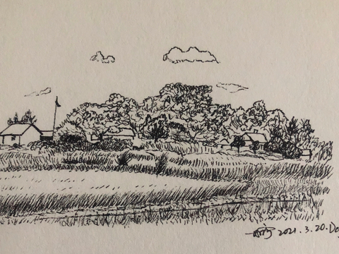 田野_yumi尤米-站酷ZCOOL