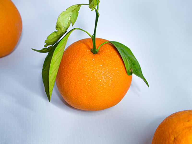 水果类_Mr吴T-站酷ZCOOL