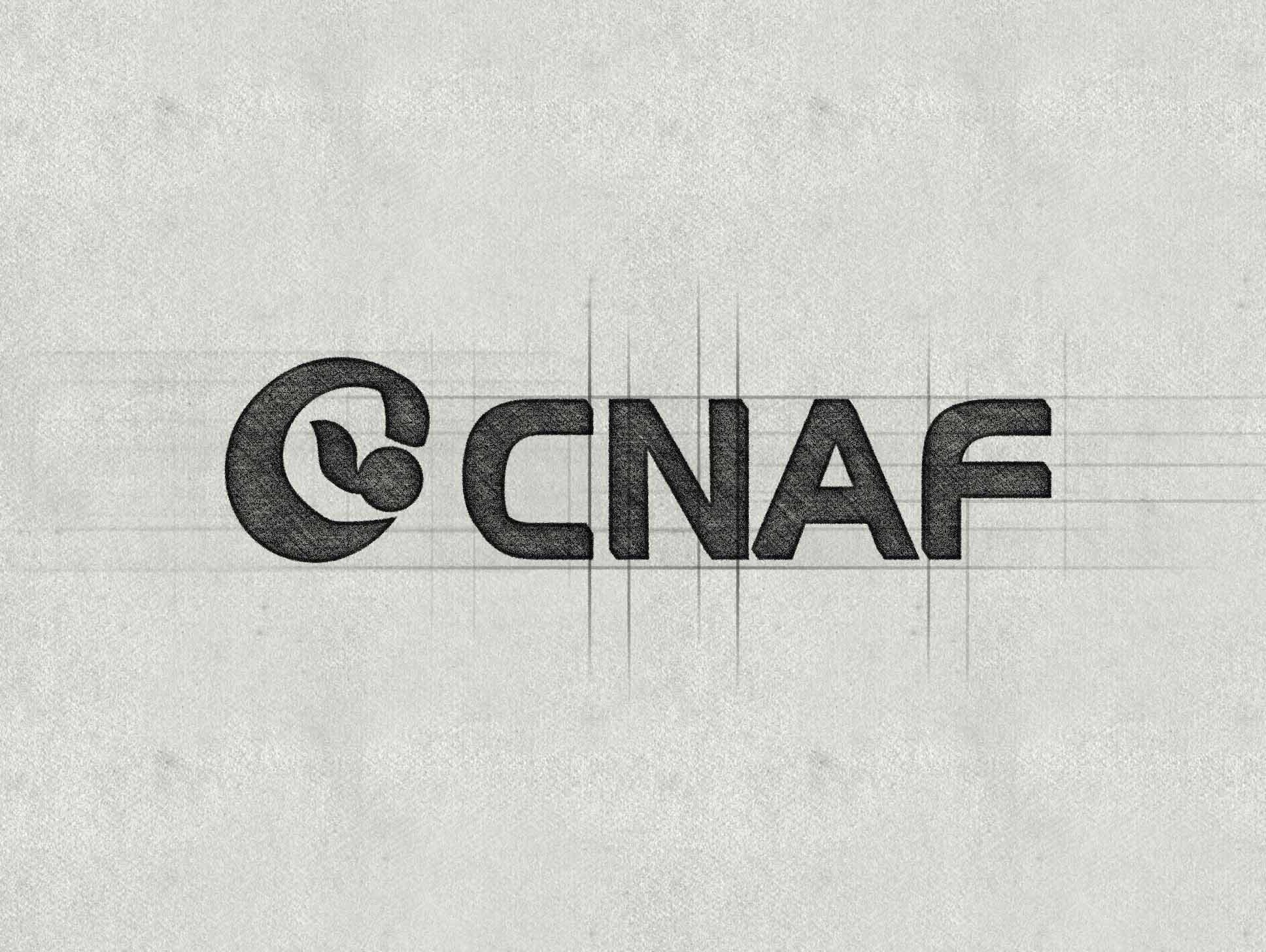 中国航空油料集团公司CNAF 分公司LOGO_风元设计-站酷ZCOOL