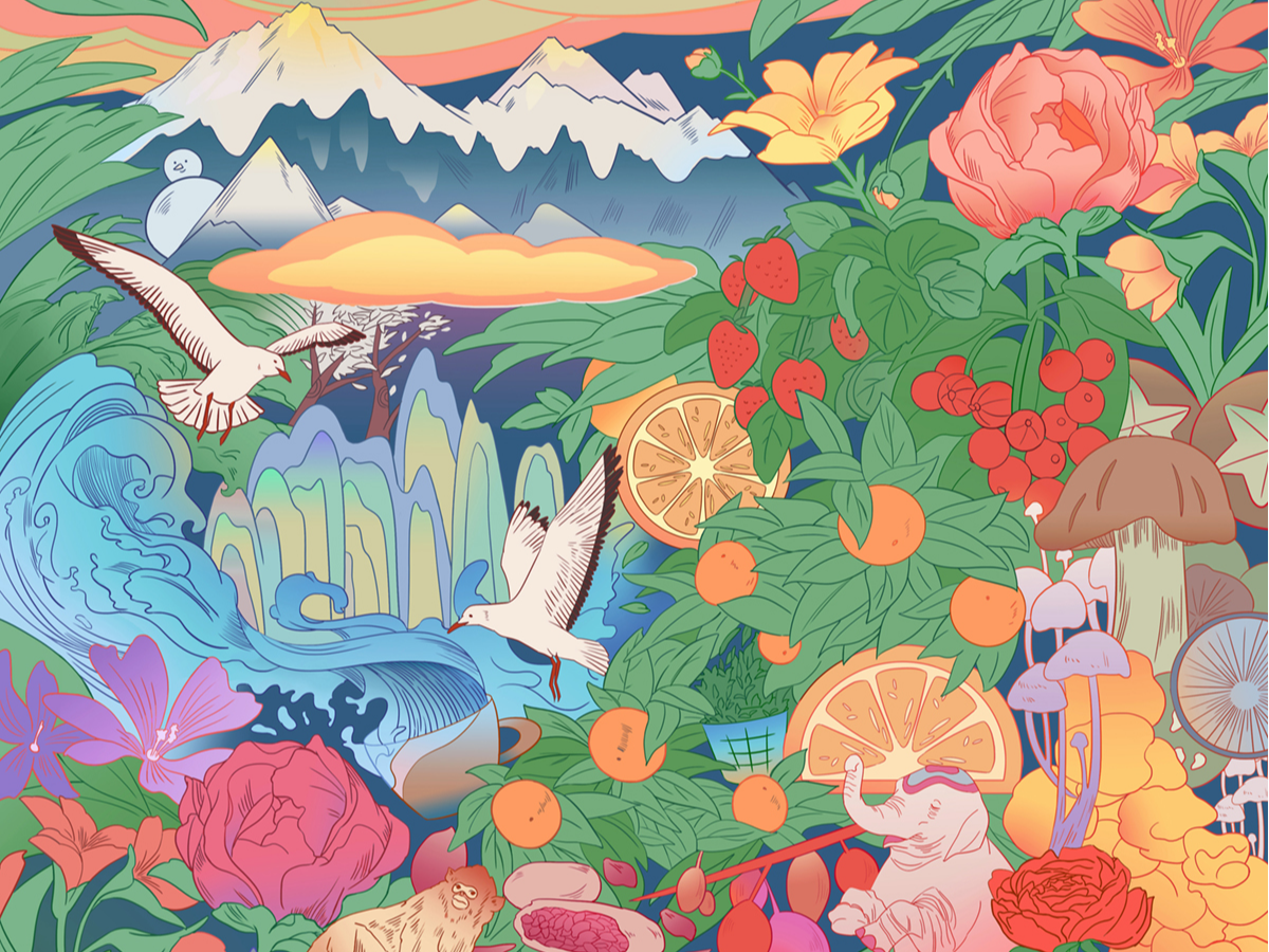 云南印象插画海报_Zoi左伊-站酷ZCOOL