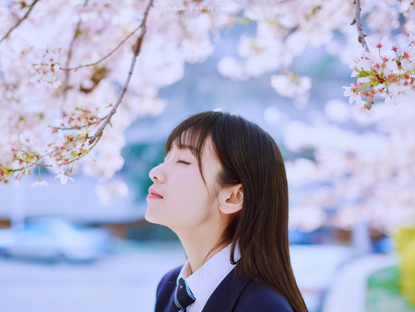 桜時_one_neo-站酷ZCOOL