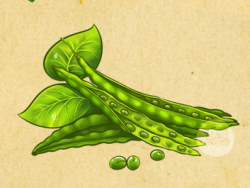 2011.11.11_蔬菜帮帮-站酷ZCOOL