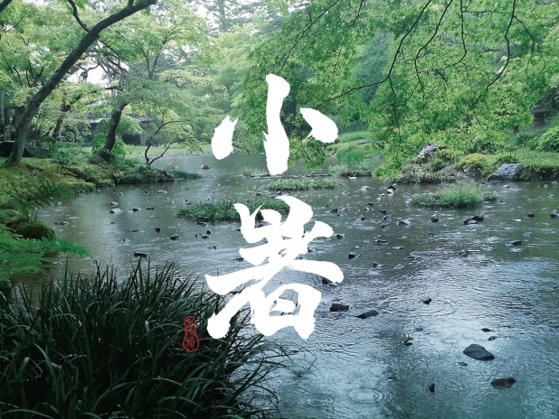 [24節氣] 小暑桌布_做作的Daphne-站酷ZCOOL