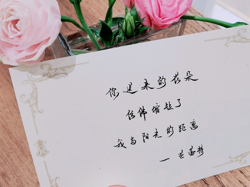 巴黎在装醉，而我们真的醉了_惊笛-站酷ZCOOL