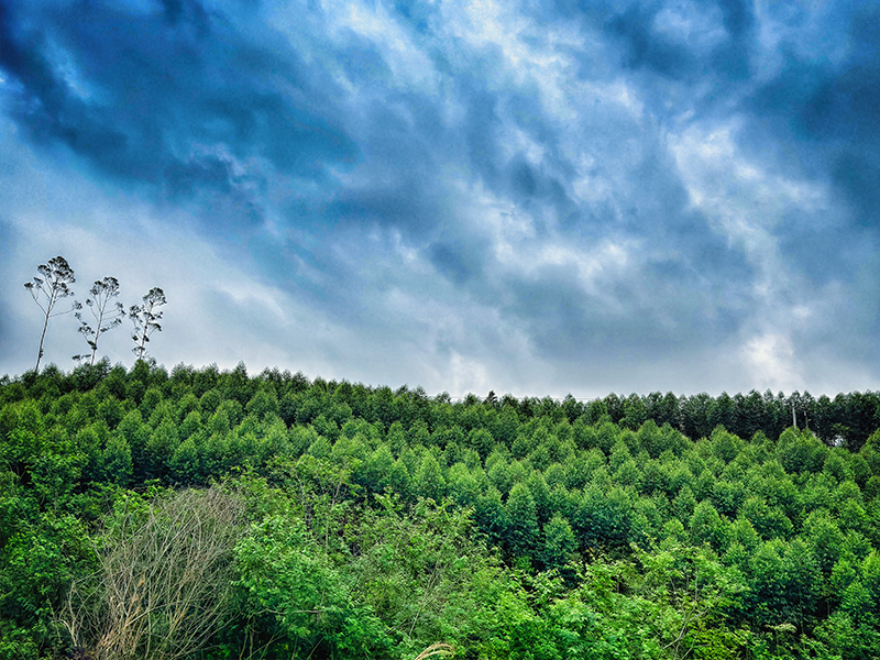 清明/Ching Ming Festival_蒙现军-站酷ZCOOL
