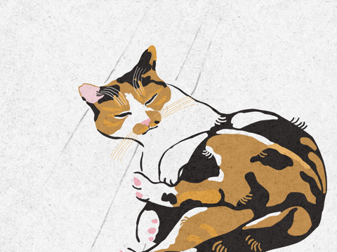 清闲2_0Lin0-站酷ZCOOL