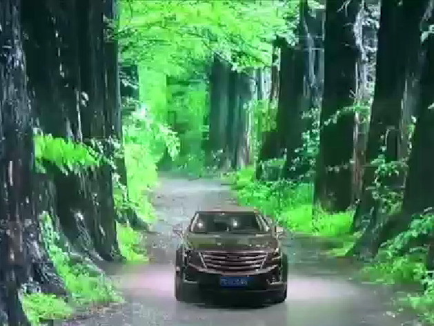 XR虚拟拍摄VP虚拟制片：踏青季节，享受喜悦的虚拟直播_虚拍领航舵手-站酷ZCOOL