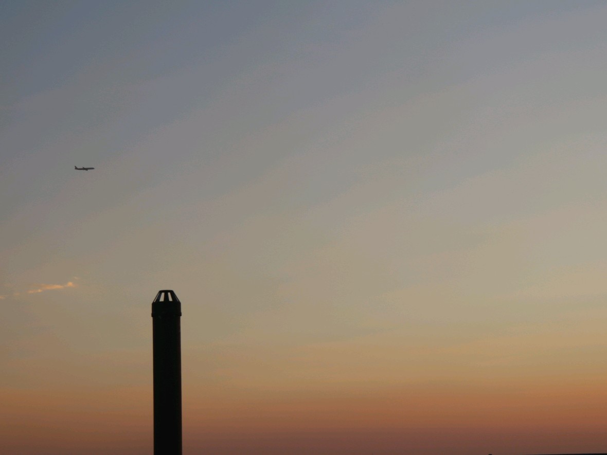 飞远_玲子hua-站酷ZCOOL