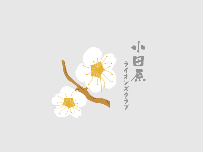 2015 LOGO_Shirokun-站酷ZCOOL