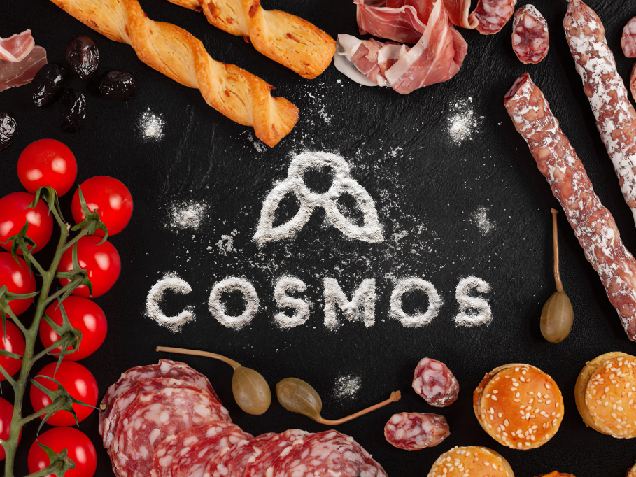 Cosmos品牌标志_Armor丨D丨阳-站酷ZCOOL